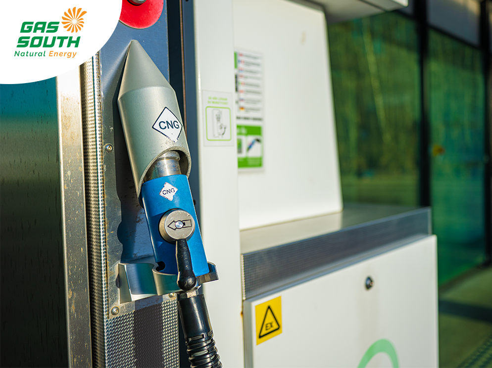 Hiểu rõ về quá trình sản xuất và phân phối, sử dụng CNG | GAS SOUTH